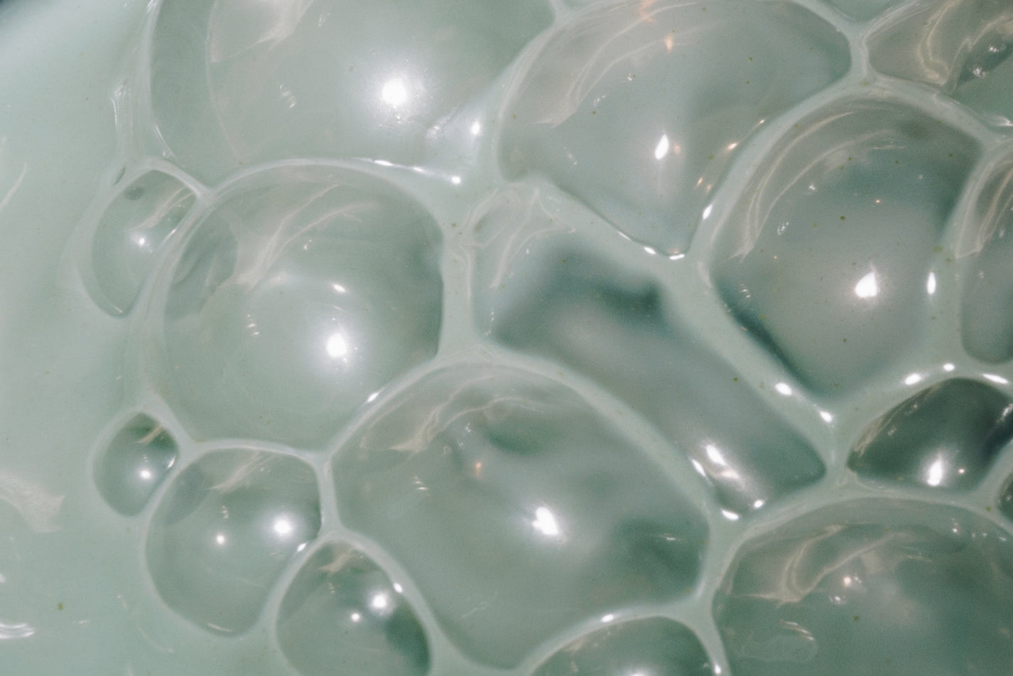 Morphic Mushroom Matcha | Blue Matcha – Conscious Seed